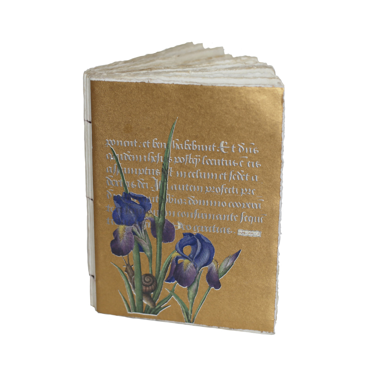 Astrolabe - Parchment paper notebook x BNF – Supplément D'AM®