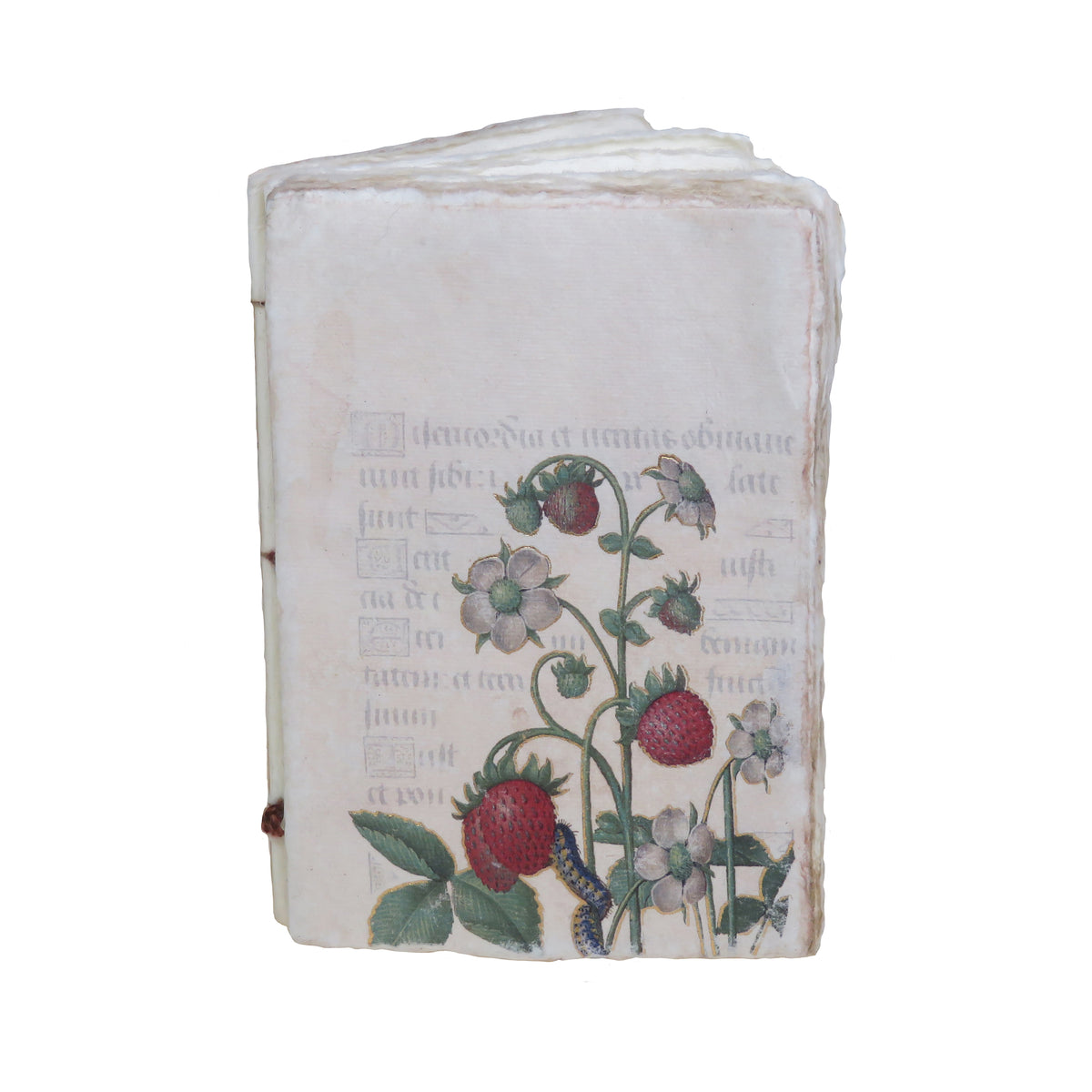 Astrolabe - Parchment paper notebook x BNF – Supplément D'AM®