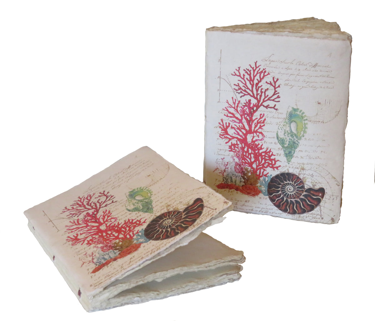 Coral - Parchment Paper Notebook – Supplément D'AM®